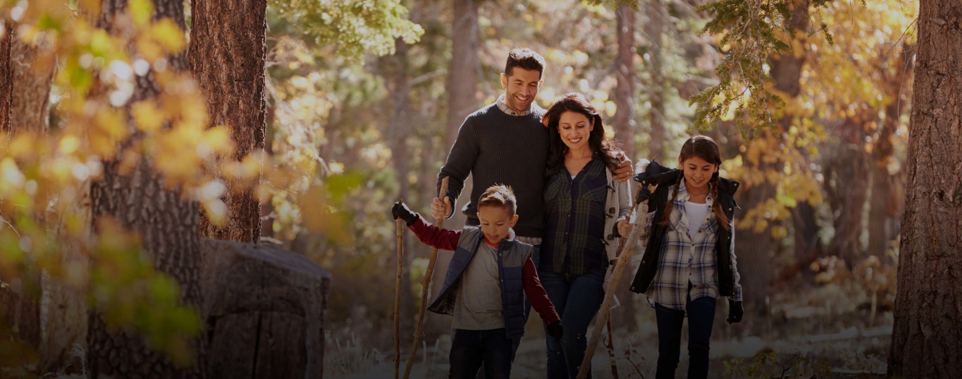 Plataforma para compra de libros para familias- Iddink Spain